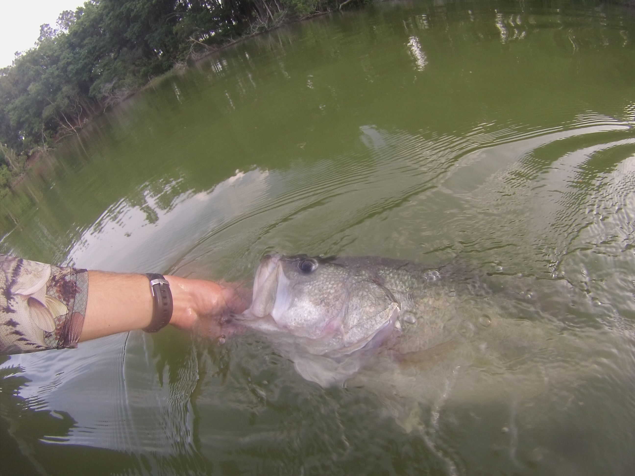 Flipping and Pitching Techniques for Bass - Wish Upon A Fish