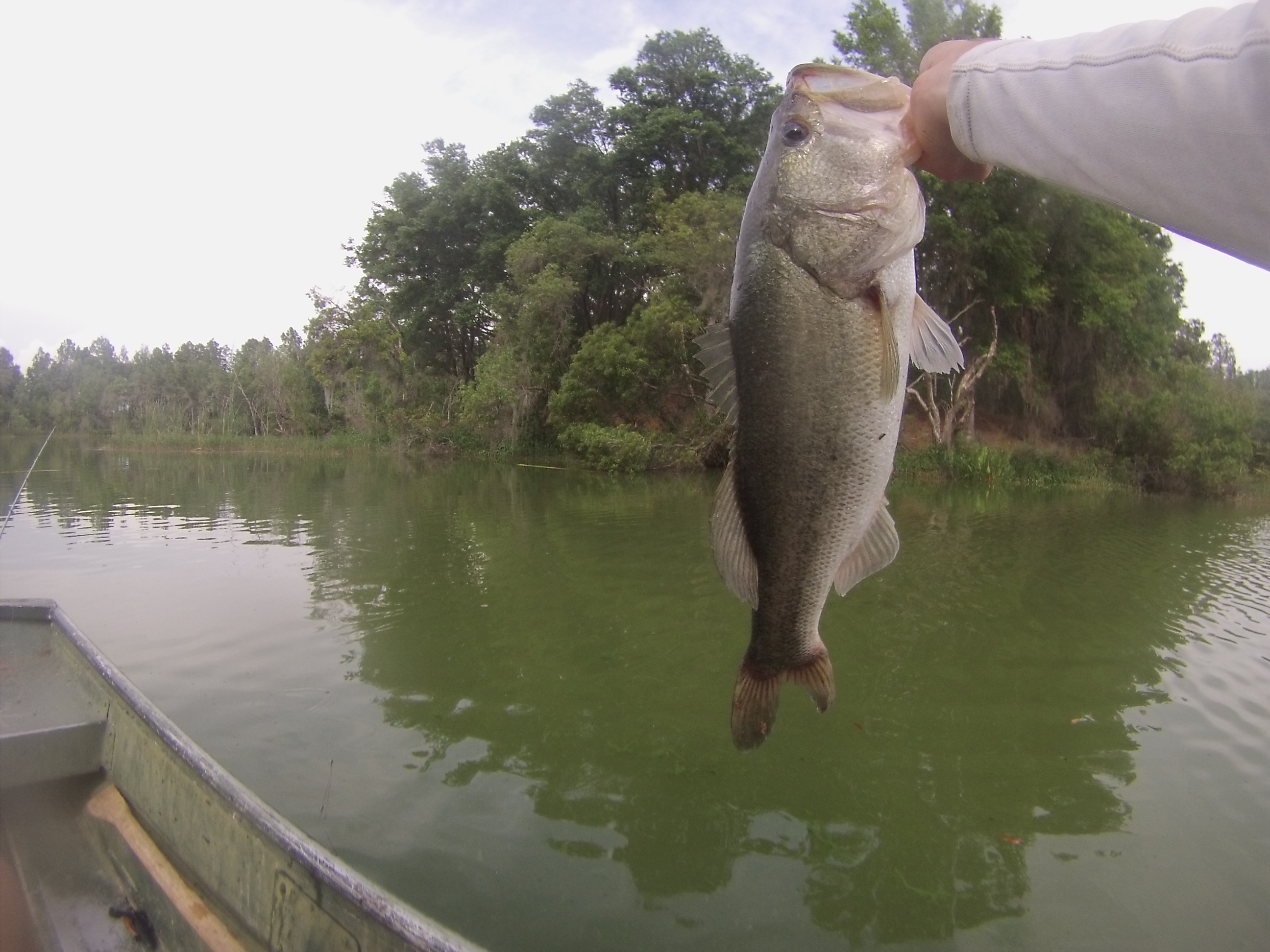 Flipping and Pitching Techniques for Bass - Wish Upon A Fish