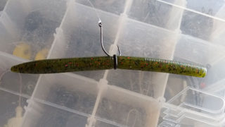 Senko Bait Bass Fishing: A Complete Guide - Wish Upon A Fish