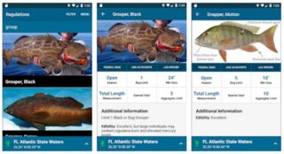 32 Best Fishing Apps in 2022 - Wish Upon A Fish